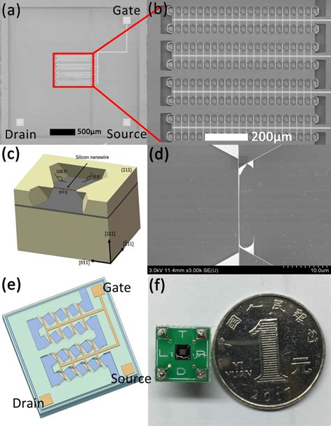 Sem Diagrams Schematic Diagrams And Physical Diagram Of Sinws Fet