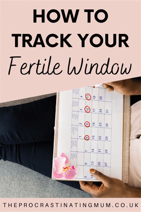 How To Track Your Fertile Window The Procrastinating Mum