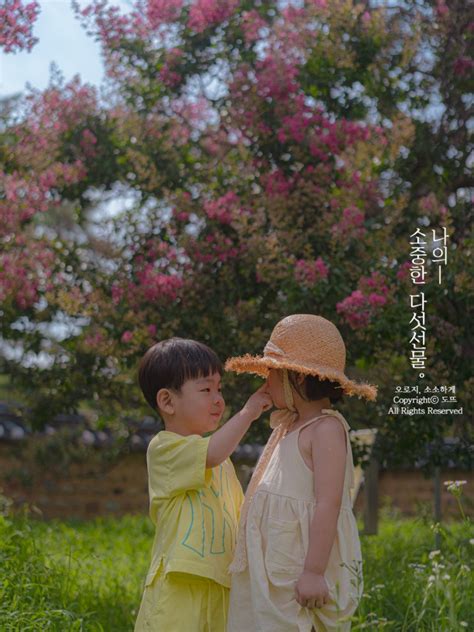 대구 신숭겸장군유적지 배롱나무와 한 컷 네이버 블로그