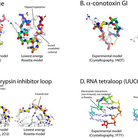 Comparison Of Best Scoring Rosetta Models With Optimized Experimental Download Table