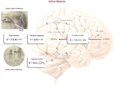 Motor Control In Active Inference This Figure Presents The Models