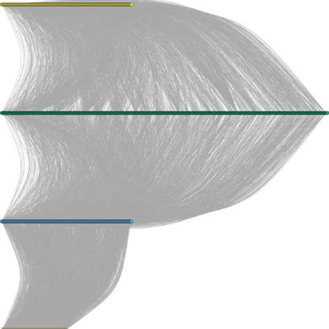 A Visual Representation Of The Tiered Structure Of Artificial Scn
