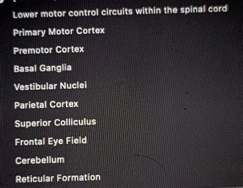 Lower Motor Control Circuits Within The Spinal Cord Primary Motor Cortex Premotor Cortex Basal Lower Motor Control Circuits Within The Spinal Cord Primary Motor Cortex Premotor Cortex Basal