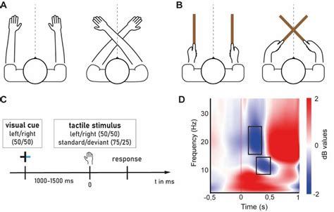 Experimental Setup And Paradigm Participants N20 Performed A Tactile Download Scientific