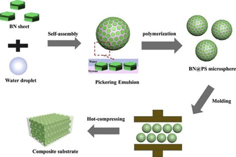 Schematic Representation Of Bnps Nanocomposite Preparation By In Situ