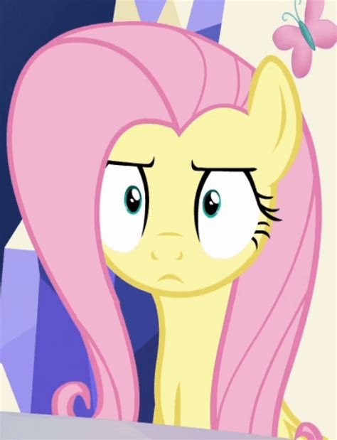 小马宝莉表情包分享 哔哩哔哩