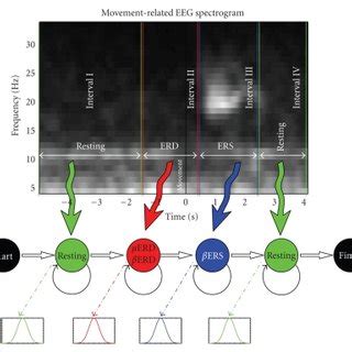 Used Model Architecture And Its Correspondence To The Real EEG Shape Download Scientific