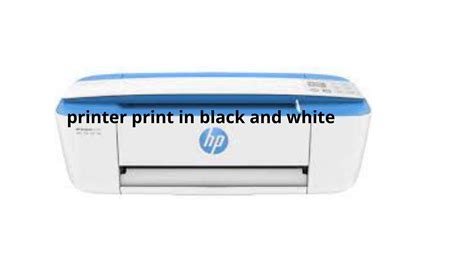 Why Does My Hp Printer Print In Black And White Instead Of Color