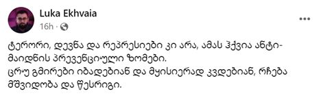ვინმე ლუკა ეხვაია ქართული ოცნების ექსპერტი R Rustaveli