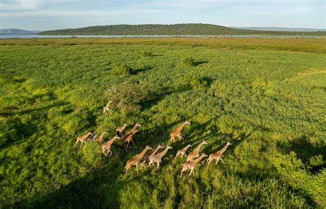 Akagera National Park Safari Guru 1st National Park Rwanda