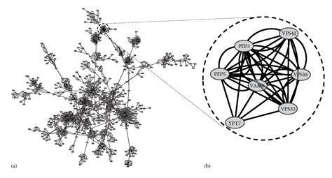 Clustering As Dimensionality Reduction