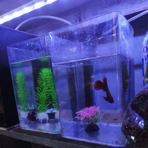 Jual Soliter Akrilik Shopee Indonesia