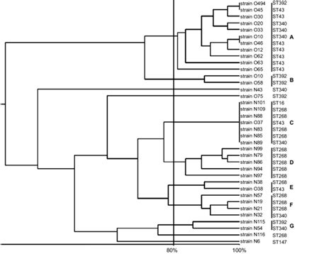 corresponding dendrogram generated with upgma clustering method in