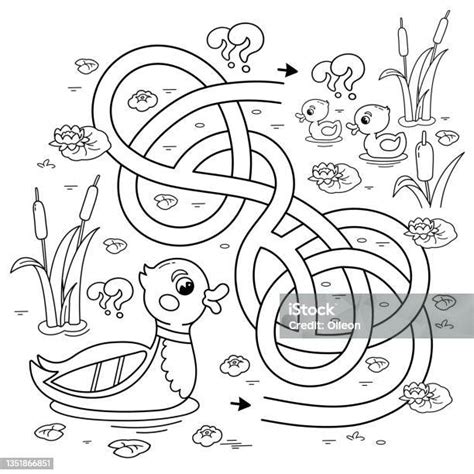 미로 또는 미로 게임 수수께끼 얽힌 도로 작은 오리와 만화 오리의 색칠 페이지 개요 아이들을위한 색칠 공부책 미로찾기에 대한