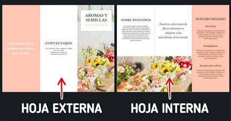 Cómo Hacer Un Tríptico En Powerpoint Word Y Canva Ideas En 5 Minutos