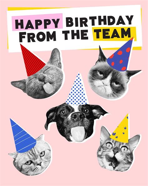Greeti Funny Cats Happy Birthday Team Group Card