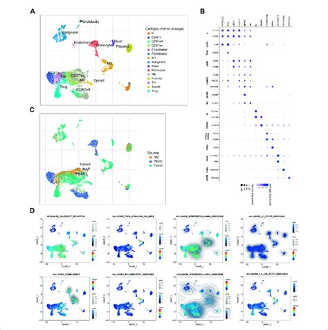Sc Rna Sequencing Of The Dysregulated Immune Signaling And Download Scientific Diagram