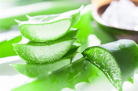 흰색 바탕에 알로에 베라 젤 암 염 미네랄 유기농 스킨 케어 고 민감한 피부를 위한 천연 화장품 썬된 알로에 베라 잎의 닫습니다 대체 의학 스파와 스킨 케어 개념 메이크업