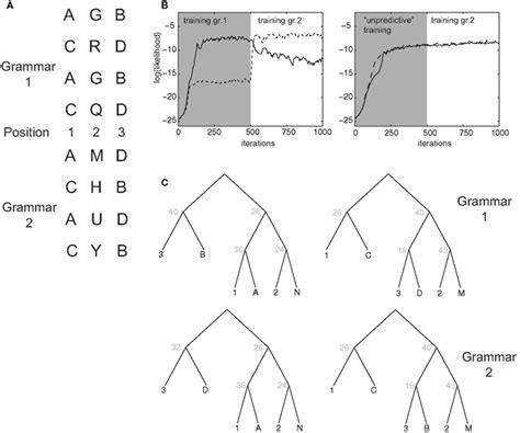 learning of artificial grammars a example syllable configurations