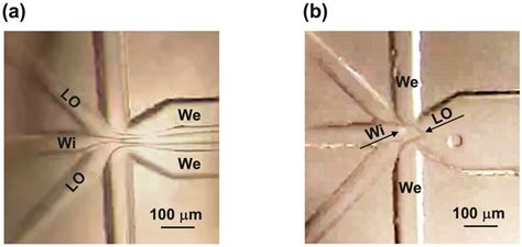 Glass Microdroplet Generator For Lipid Based Double Emulsion Production