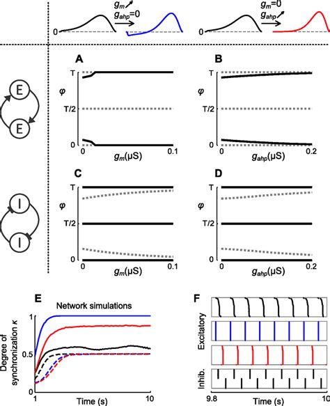 11 Influence Of Adaptation On Synchronization Properties Of Traub Model