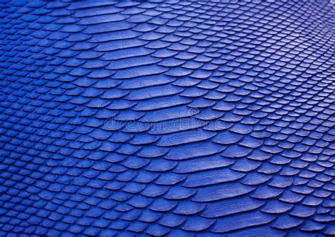 Blue Python Leather Texture Stock Image Image Of Climate Painted 63631375