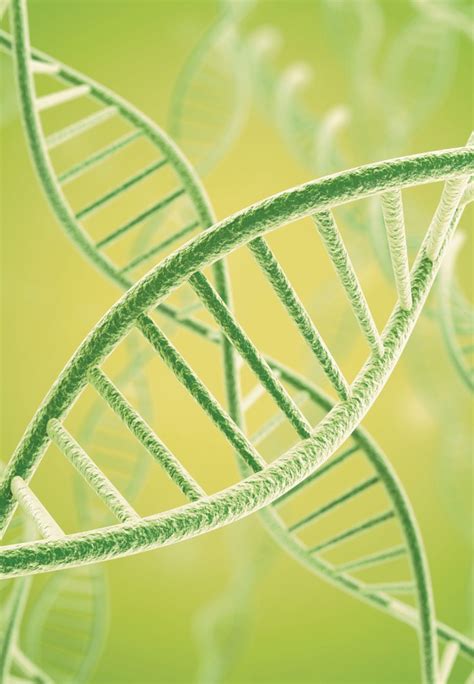 Solid Tumor Quest Diagnostics