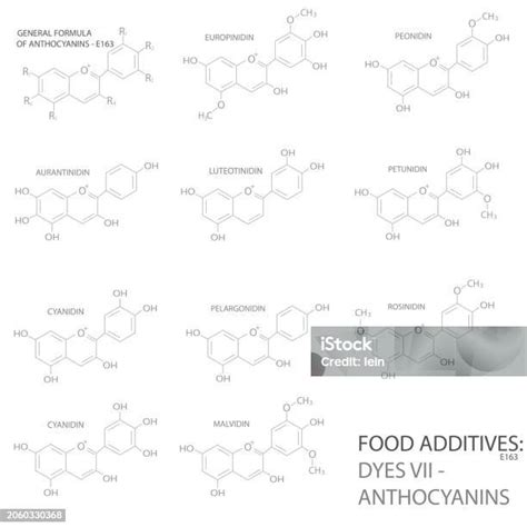 Anthocyanins Molecular Skeletal Chemical Formula Stock Illustration