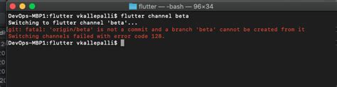 I M Trying To Install The Beta Version Of Flutter To Enable Web Development Issue