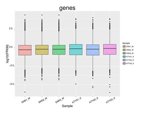 Total Rna Seq Sequencing Report
