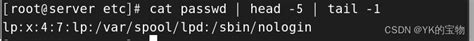 linux作业 linux 作业 csdn博客
