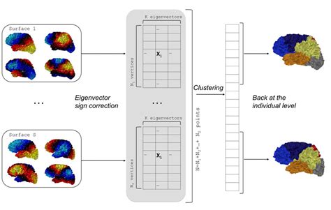 Flowchart Of Group Spectral Clustering Individual Eigenvectors Are