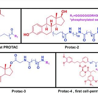 First Generation Protacs Peptide Based Protacs Chemical Structures
