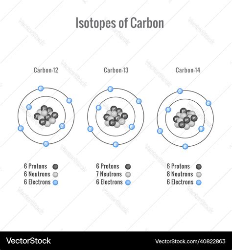 Carbon Isotopes Carbon 12 Carbon 13 Carbon 14 Vector Image