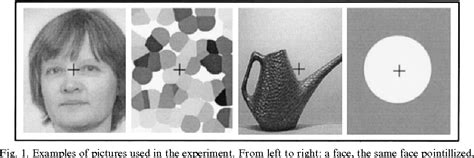 Figure 1 From Face Specific Responses From The Human Inferior Occipito Temporal Cortex