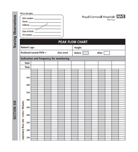 FREE Peak Flow Chart Templates In PDF MS Word