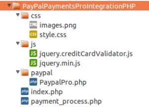 Paypal Pro Payment Gateway Integration Folders Files Structure By Codexworld CodexWorld