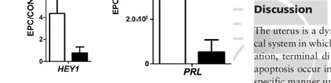 Notch Pathway Signaling Component Mrna Levels In Decidualized