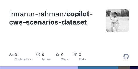 Github Imranur Rahmancopilot Cwe Scenarios Dataset