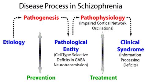 Pathophysiology Of Schizophrenia Nurseonlineph November 2014 Nle