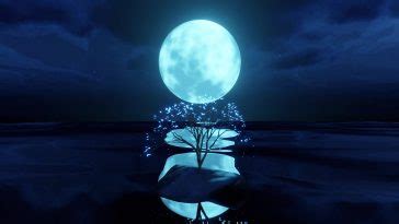73 Blue Live Wallpapers Animated Wallpapers Moewalls