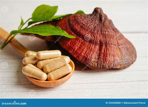 Lingzhi or Reishi Mushroom with Capsules, Organic Natural Healthy Food ...