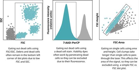 Gating Strategies For Effective Flow Cytometry Data