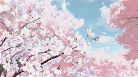 Aesthetic Cherry Blossom Anime Gif My Xxx Hot Girl