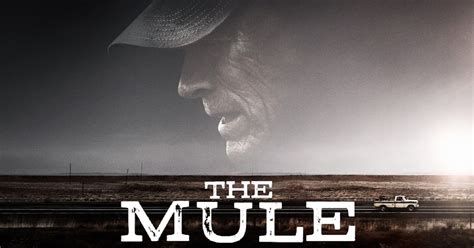 Crítica De La Mula La Redención Del Anciano Clint Eastwood Cinefilia