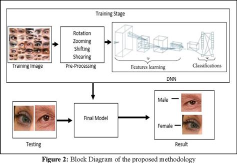 Figure 1 From Detection Of Human Gender From Eyes Images Using Dnn Approach Semantic Scholar