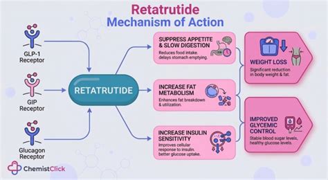 How Does Retatrutide Work For Weight Loss