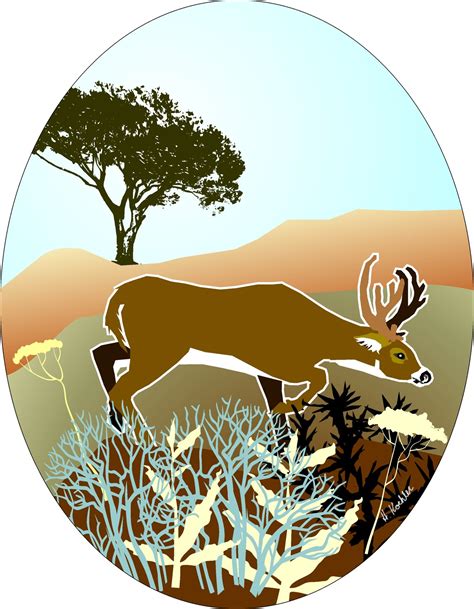 Whitetail Deer Passion Understanding The Body Language Of Deer