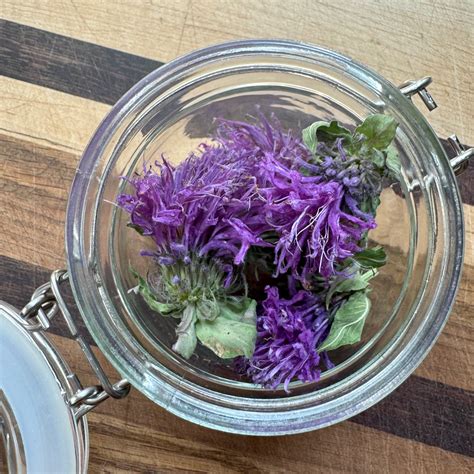 Freeze Dried Bee Balm Flowers Lemon Bird Preserves
